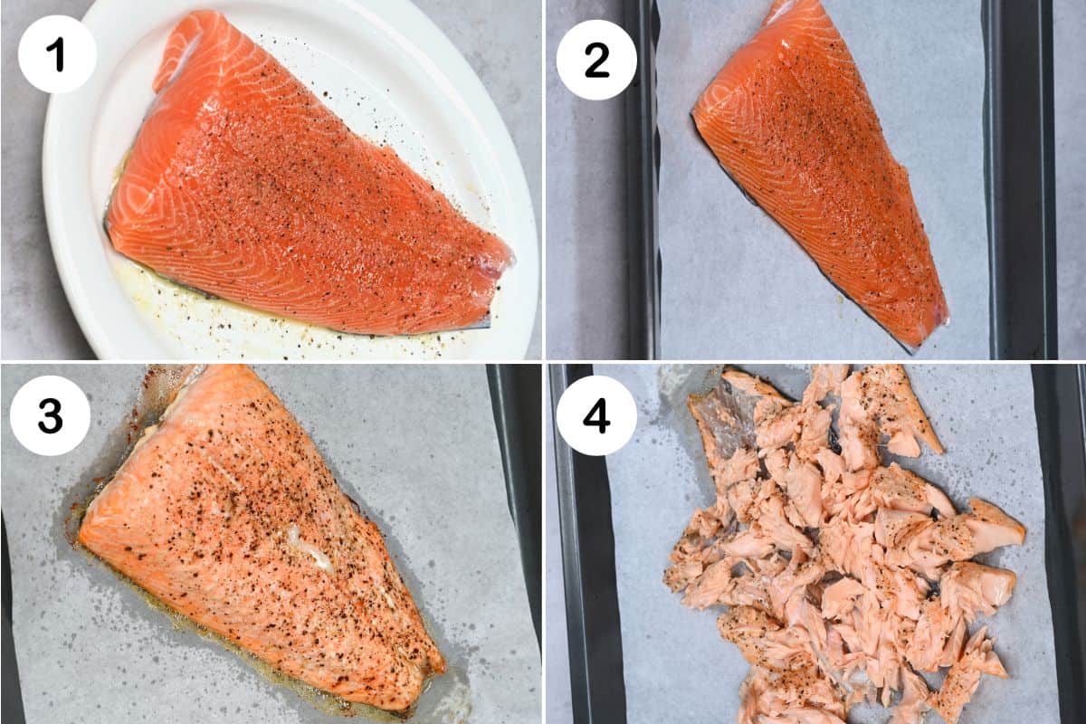Salmon Salad – Bigzazoo Luxury Garden