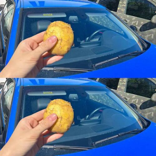 The Surprising Life-Saving Benefits of Keeping a Potato in Your Car ...