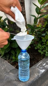 How to Make a Safe Natural Fertilizer for Snake Plants Using a Simple ...